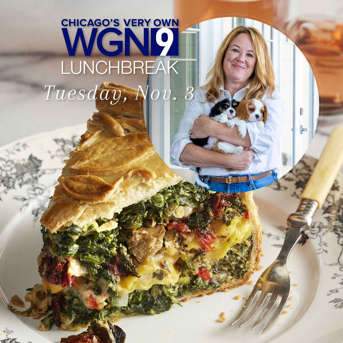 Mary DiSomma live on WGN 9’s Lunchbreak November 3